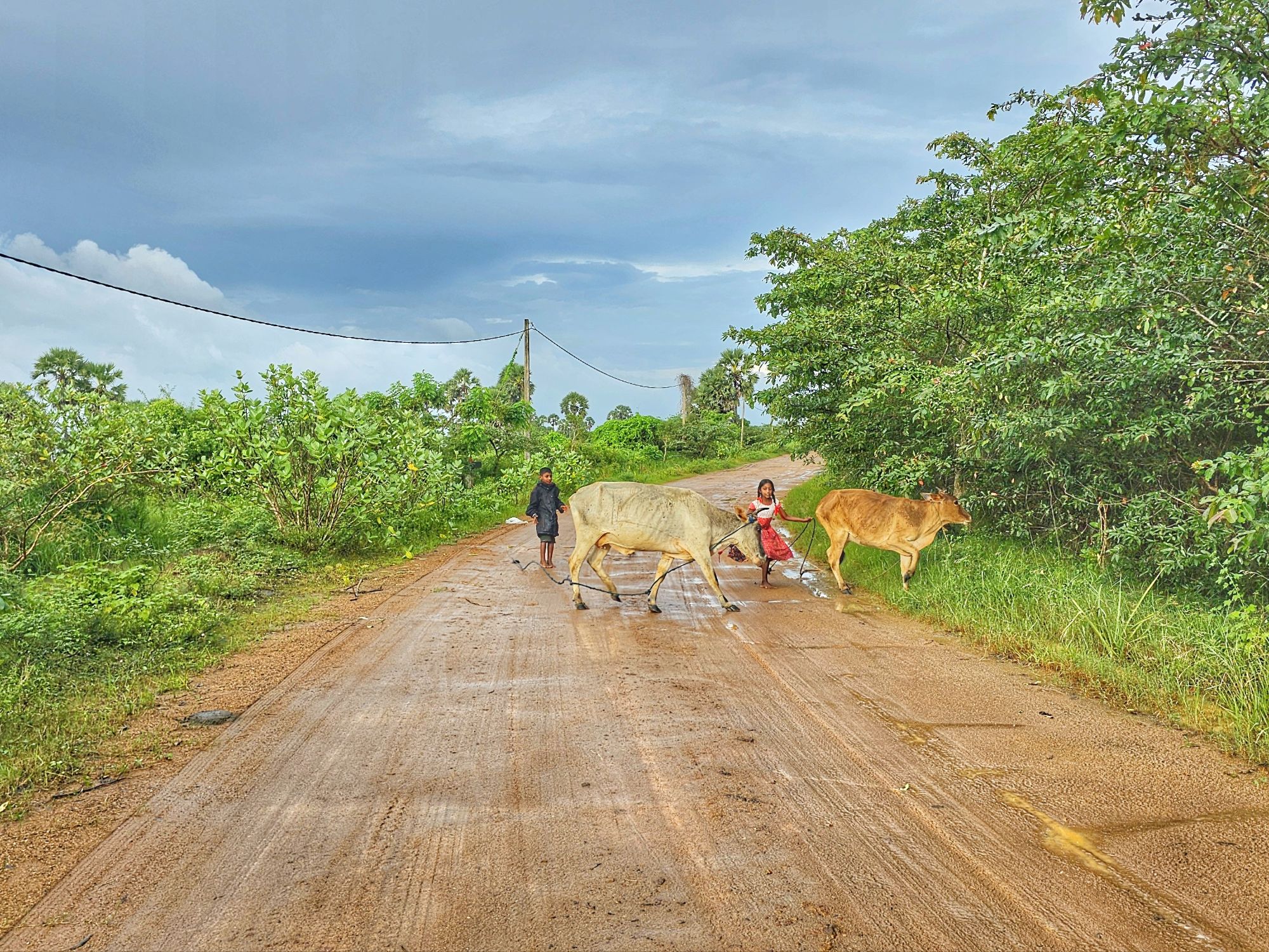 Kilinochchi's Top 10 Places to Travel for Your Holiday 2024